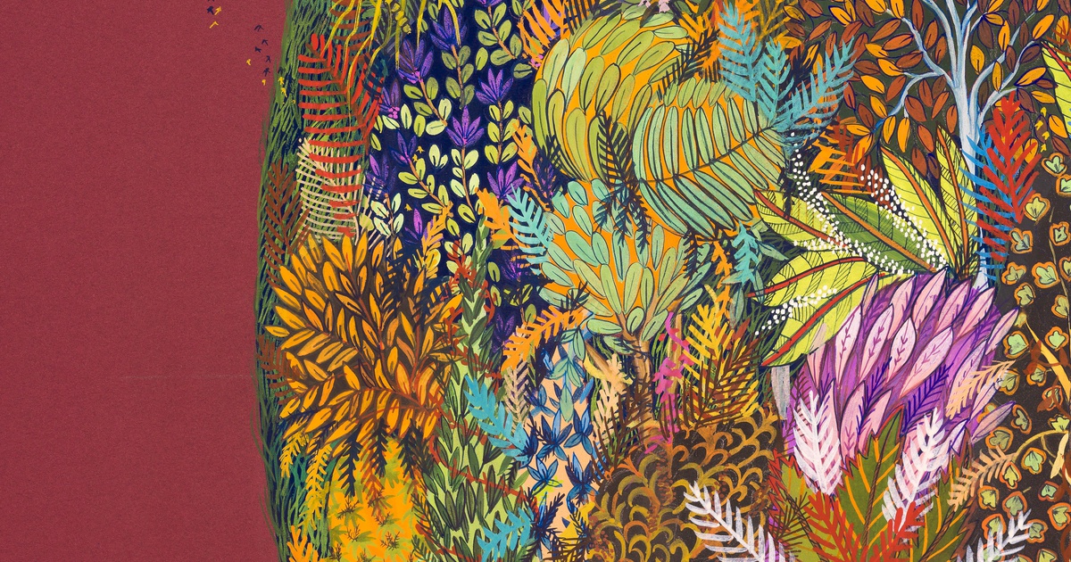 Wardha Shabbir - Exhibitions | Grosvenor Gallery